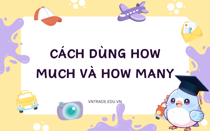 Cách dùng How Much và How Many dễ hiểu nhất cho newbie